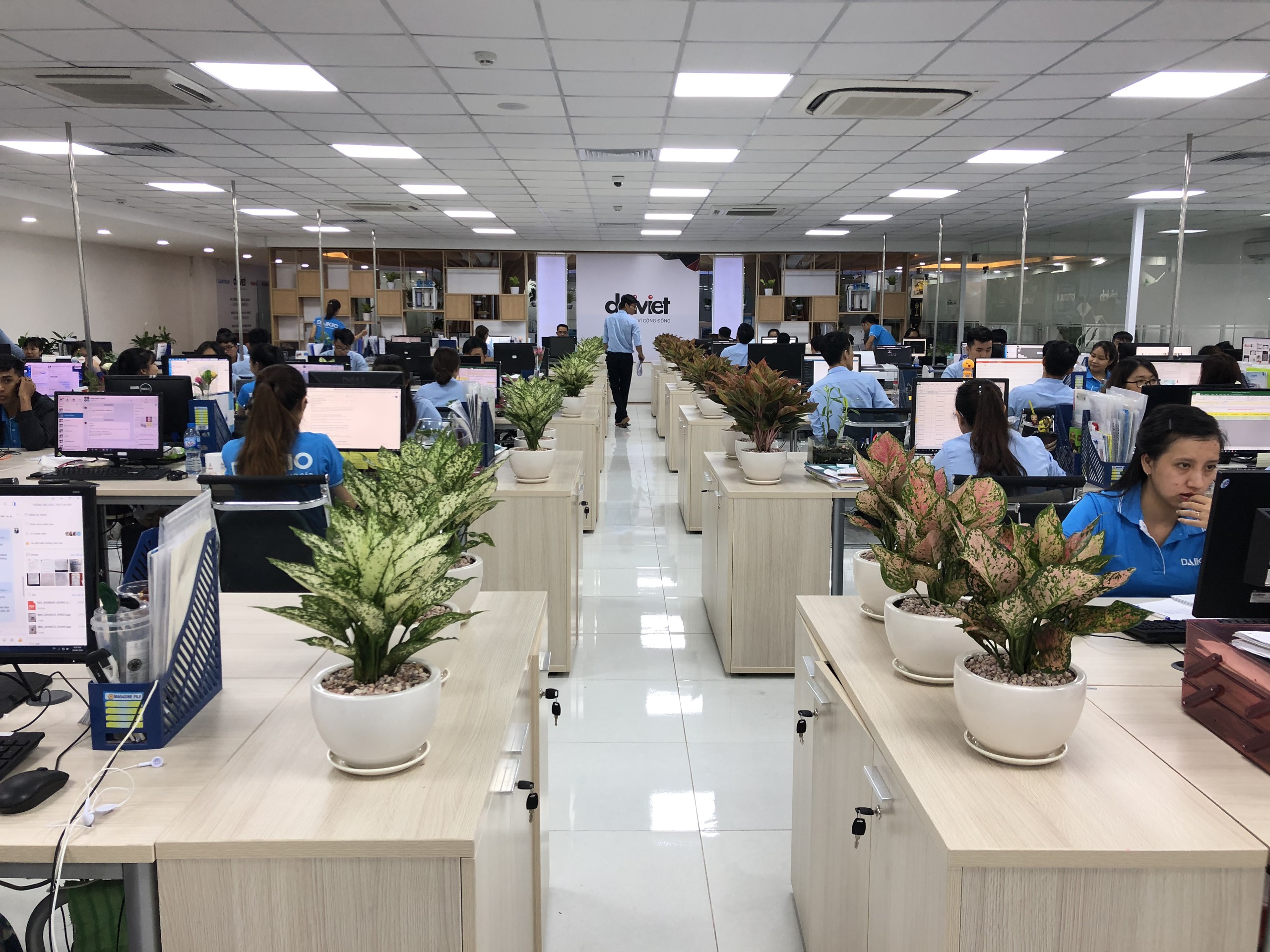 Ý nghĩa và Cách Chăm Sóc Một Số Chậu Cây Để Bàn Đẹp